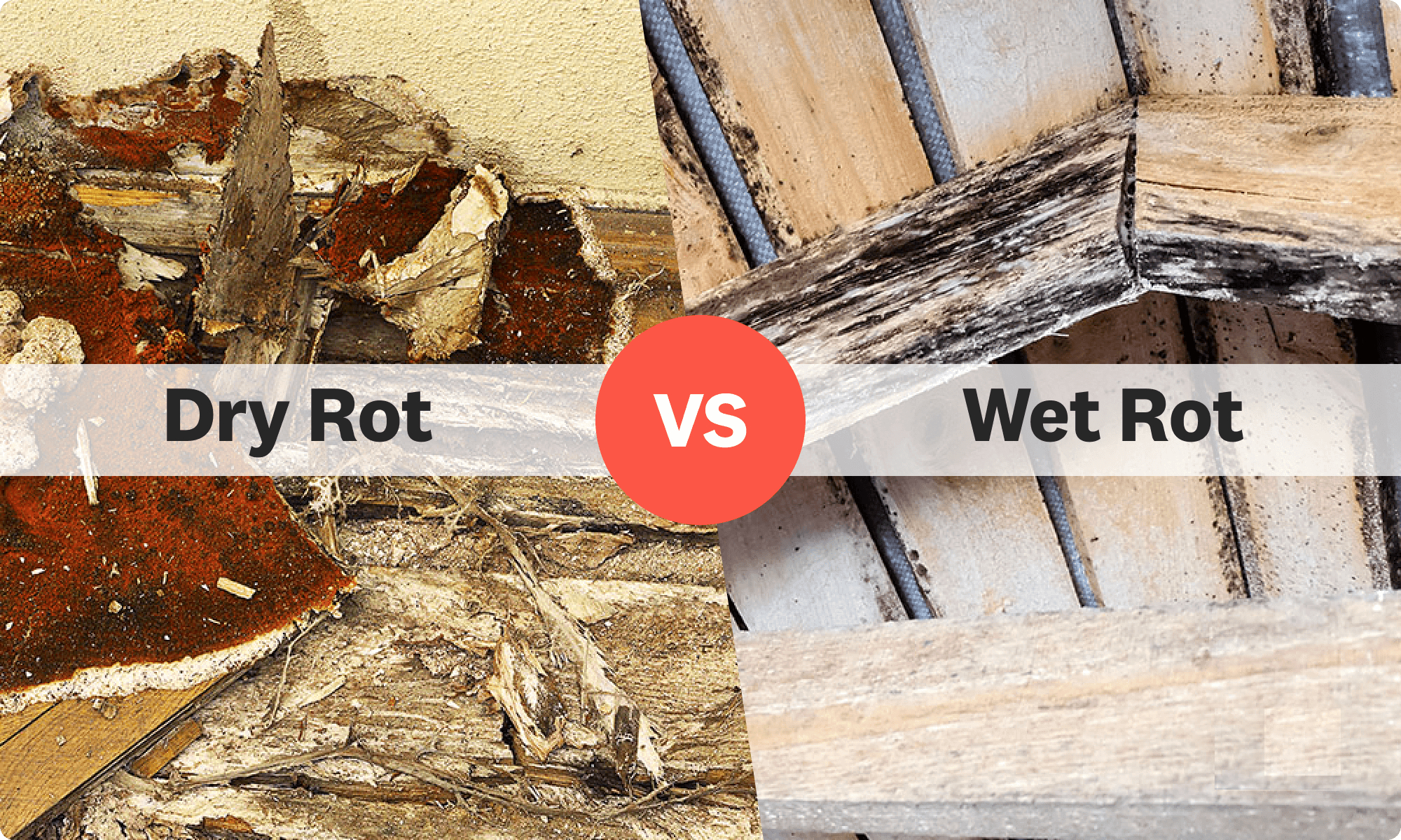 How to Spot Dry Rot in Seattle Homes | Free Checklist